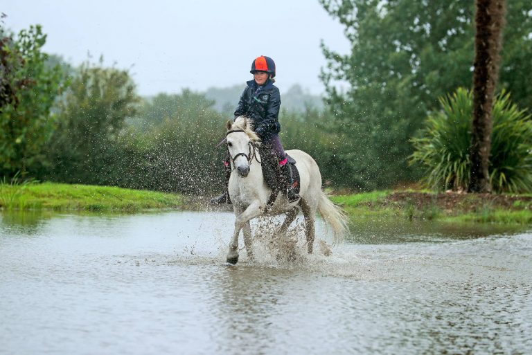 News - Boomerang Stables